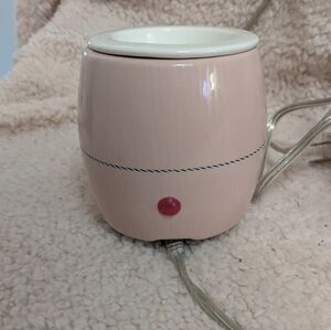 Pink Zebra | Accents | Pink Zebra Warmer Wax | Poshmark